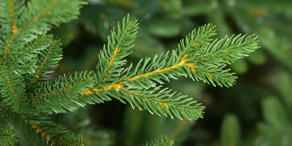 How We Make Our Trees Look Real